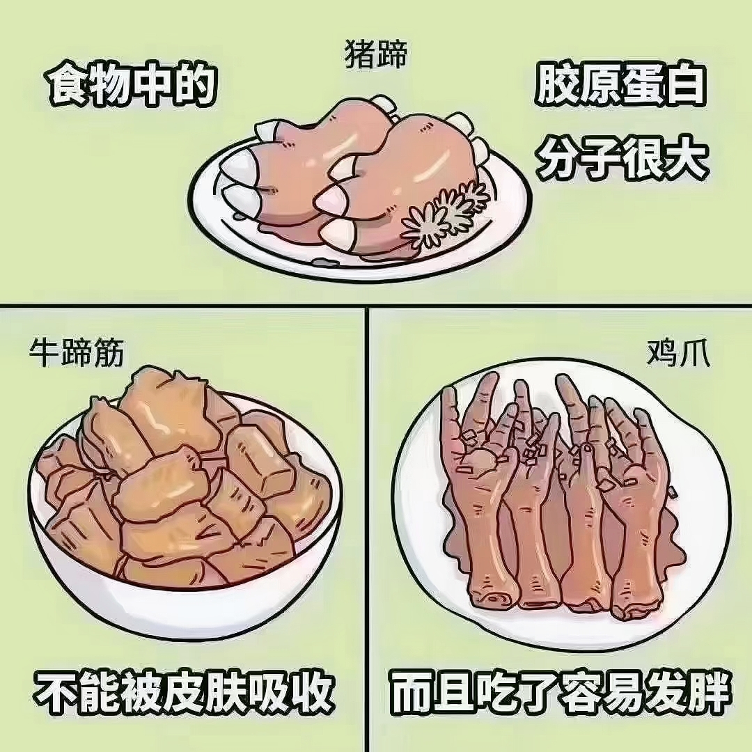 胶原蛋白？还是脂肪-瘦圈-广州瘦吧网络科技有限公司